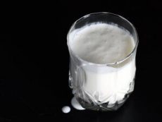 Tibetan Mushroom Kefir: Preparation And Benefits - Holy Globe