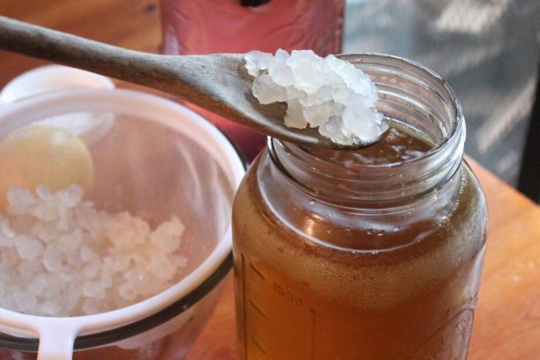 How to Grow Water Kefir Grains? - Holy Globe