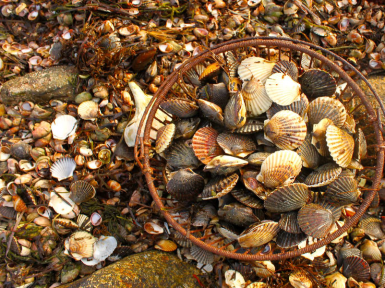Gigantes Islands Guide for Very First Time Travelers - Holy Globe