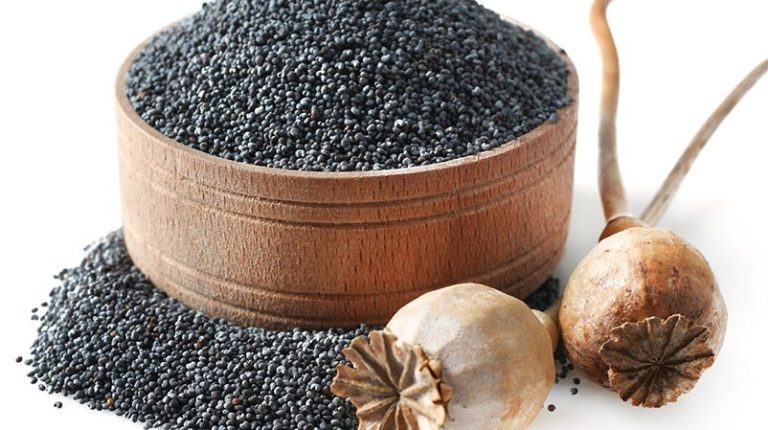 Health Benefits of Poppy Seeds - Holy Globe